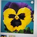 Pansy Face Stained Glass Pattern - Etsy