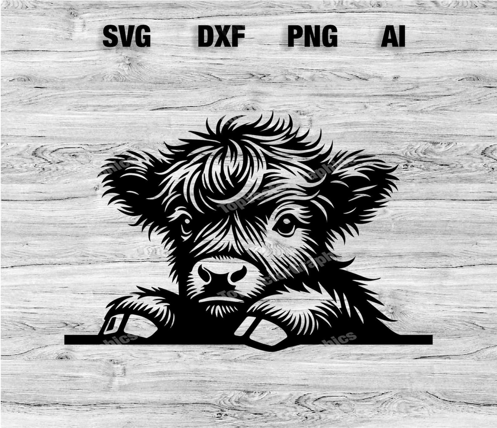 Peeking Highland Cow Head | Highlander Cow Vector Graphic Laser File ...