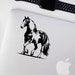 Pinto Horse Cut Files | Pinto Thoroughbred Horse Gallop Vector Graphic ...