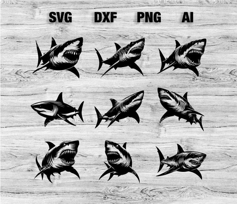9 Great White Shark Cut Files | Shark Bundle Vector Graphic Silhouette ...