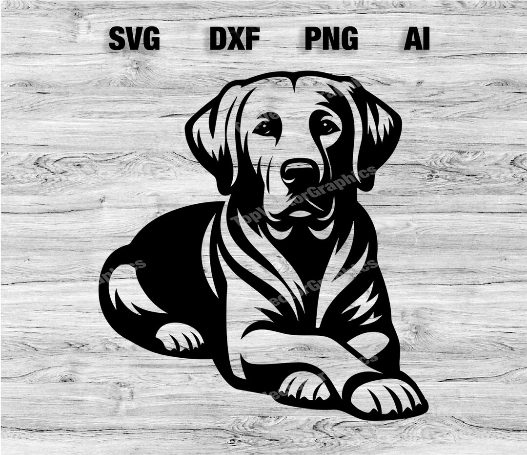 Labrador Retriever Laying Crossed Paws | Dog Vector Graphic Laser File ...
