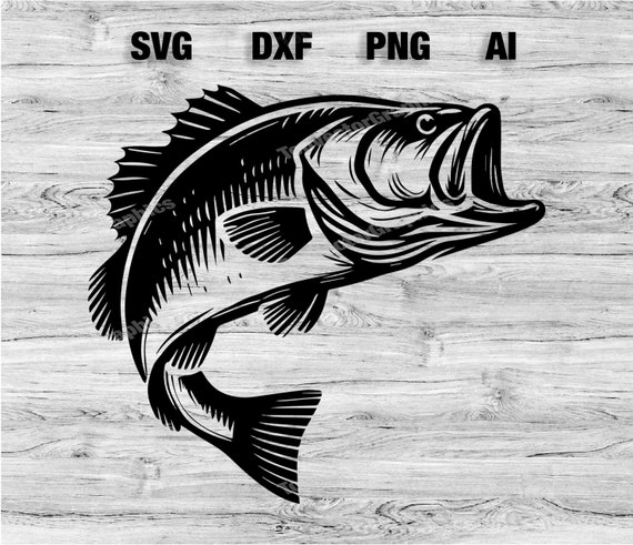 Bass Fish Jumping Drawing