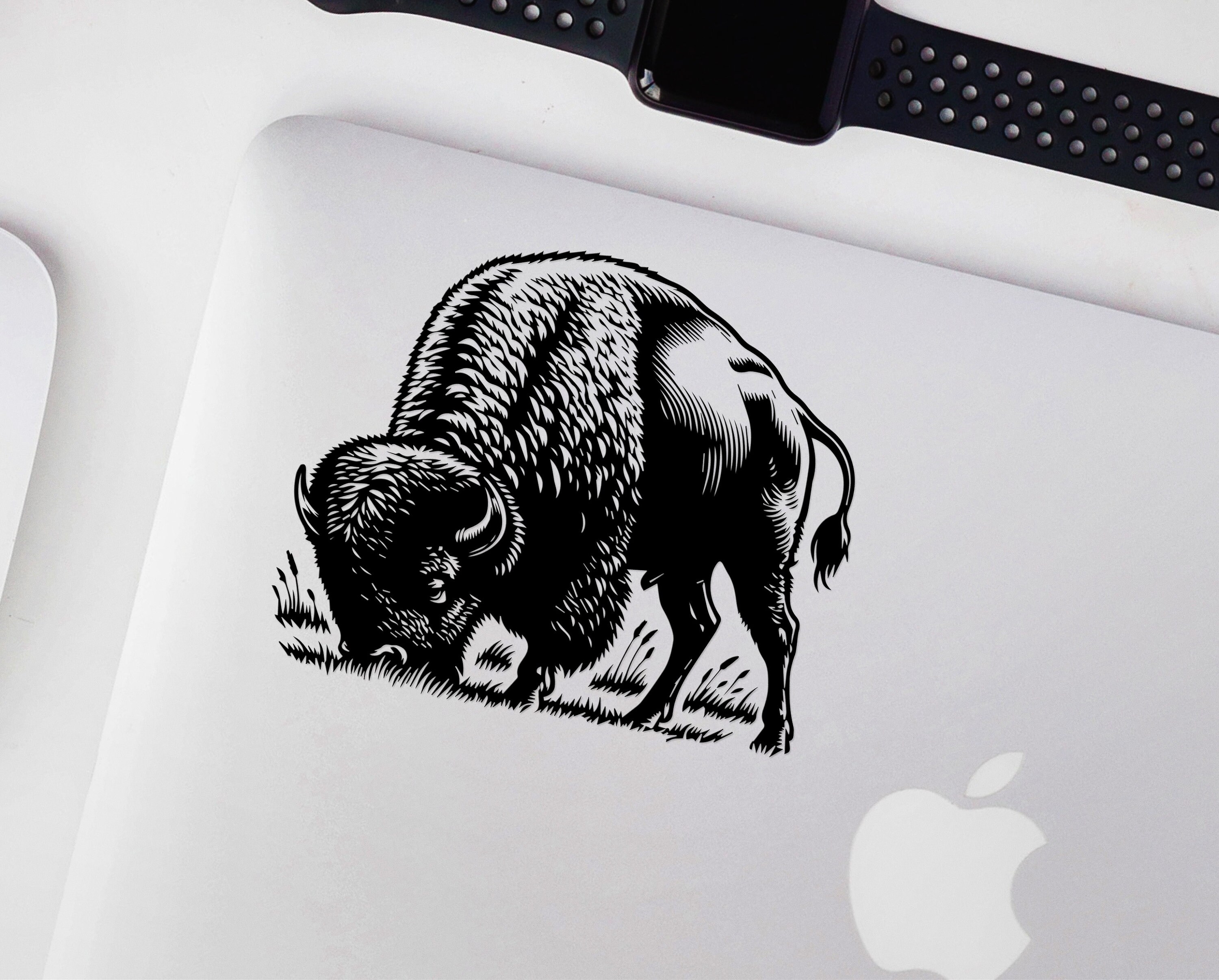 8 Bison Cut Files | Bison Vector Graphic Silhouette, Cameo, Cricut SVG ...