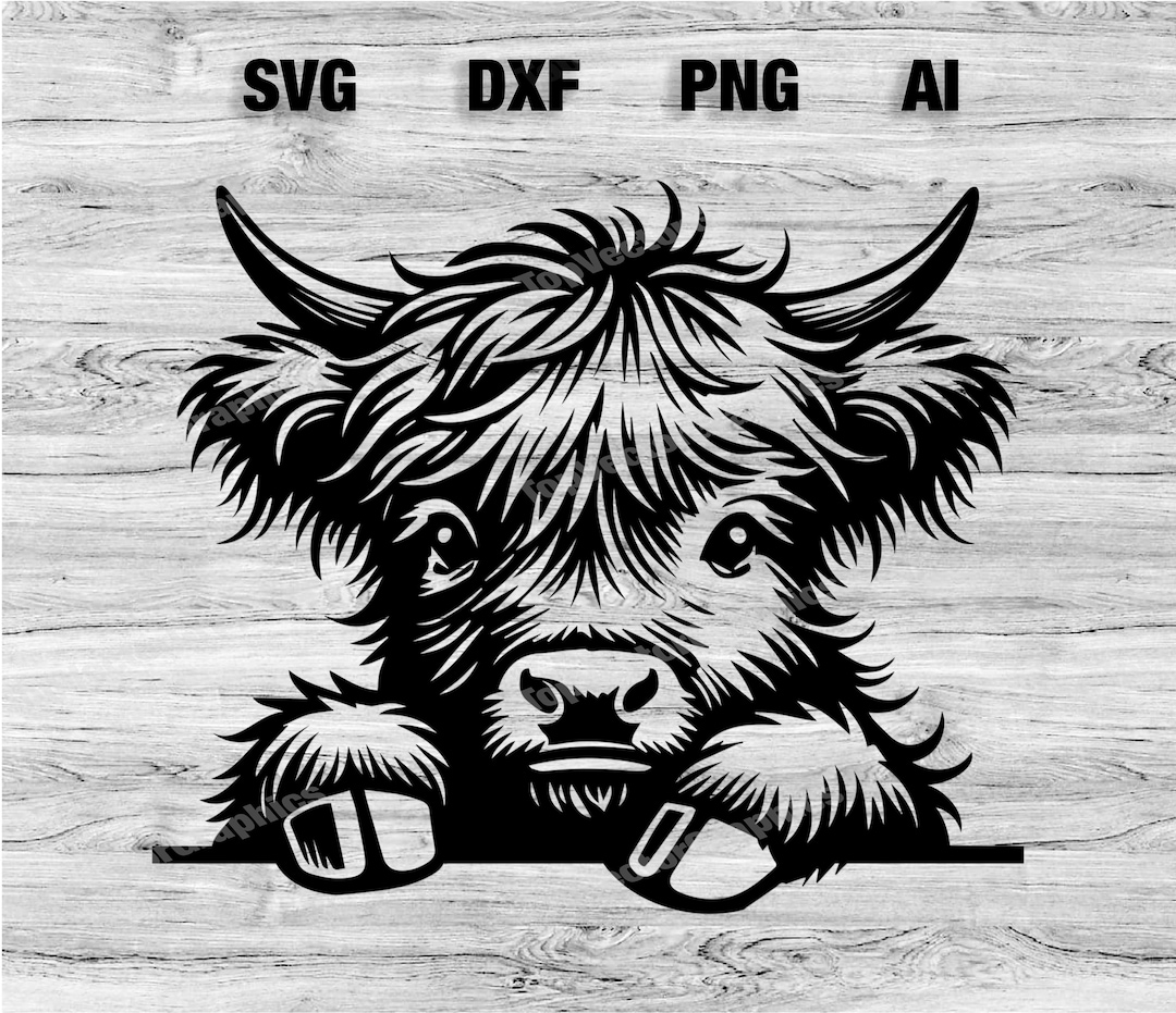 Peeking Highland Cow Head | Highlander Cow Vector Graphic Laser File ...