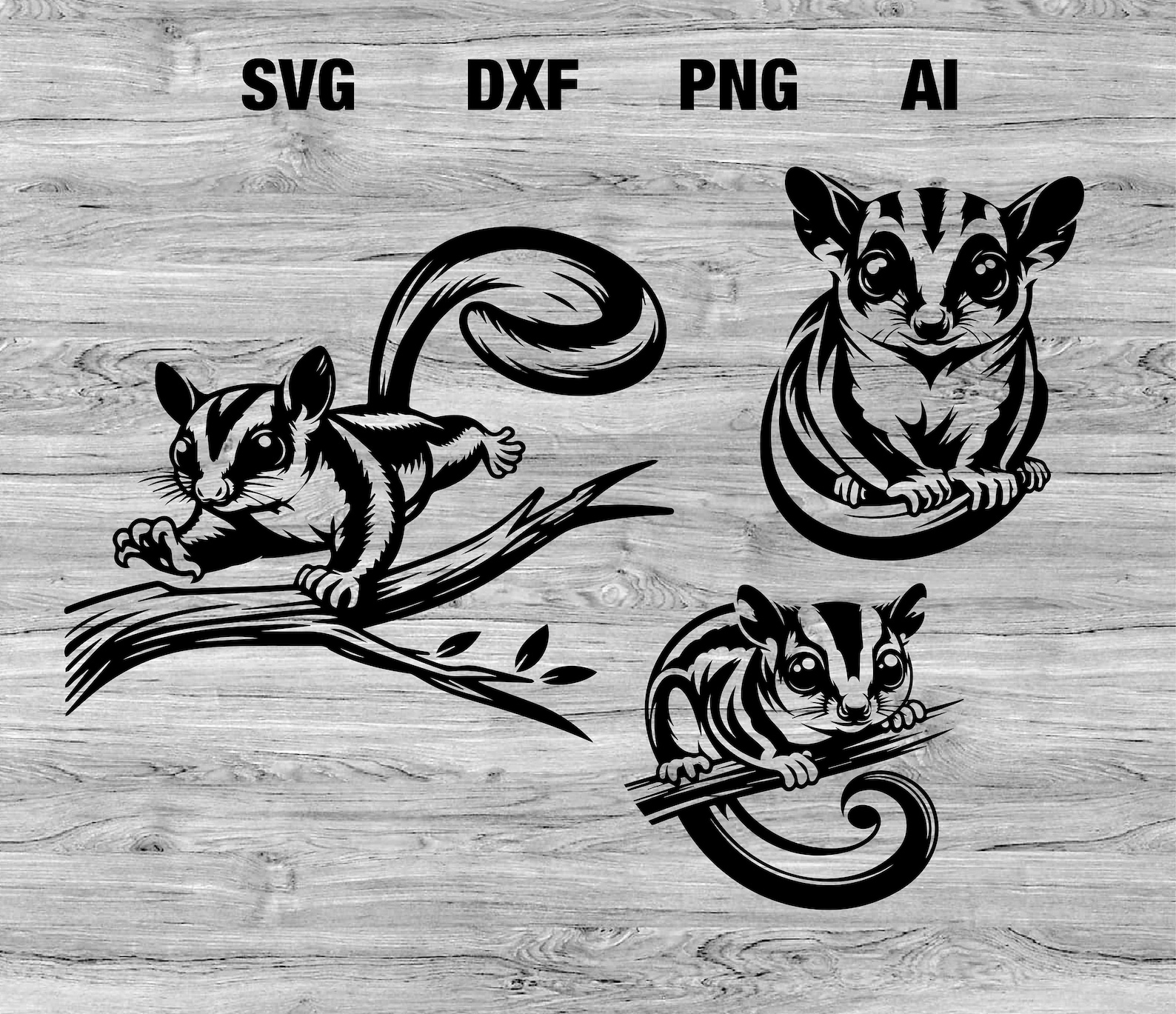 3 Cute Sugar Glider Vector Graphics for DIY Crafts and Projects | Sugar ...
