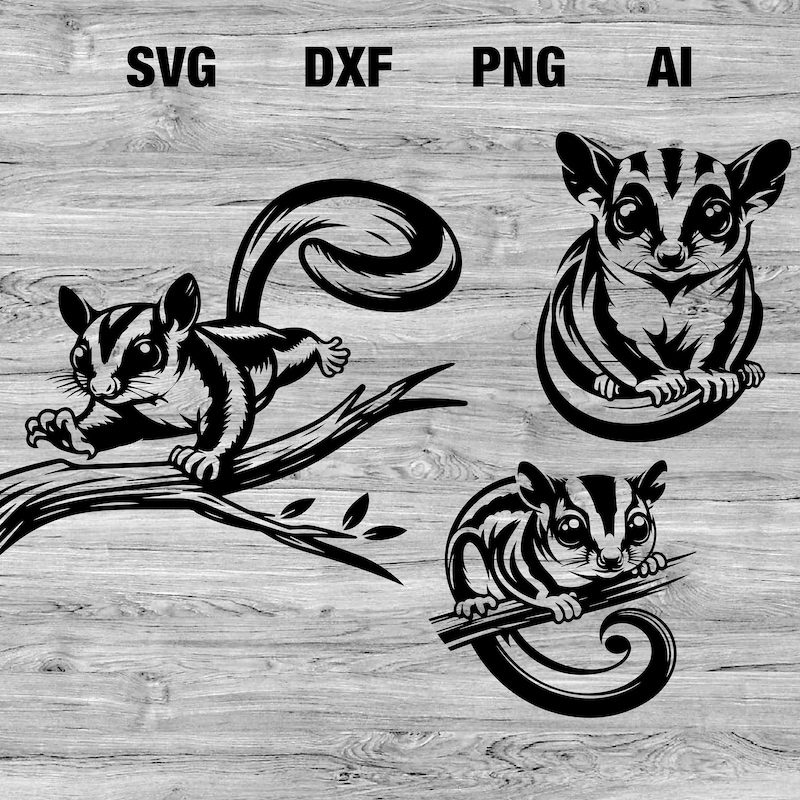Sugar Glider - Etsy