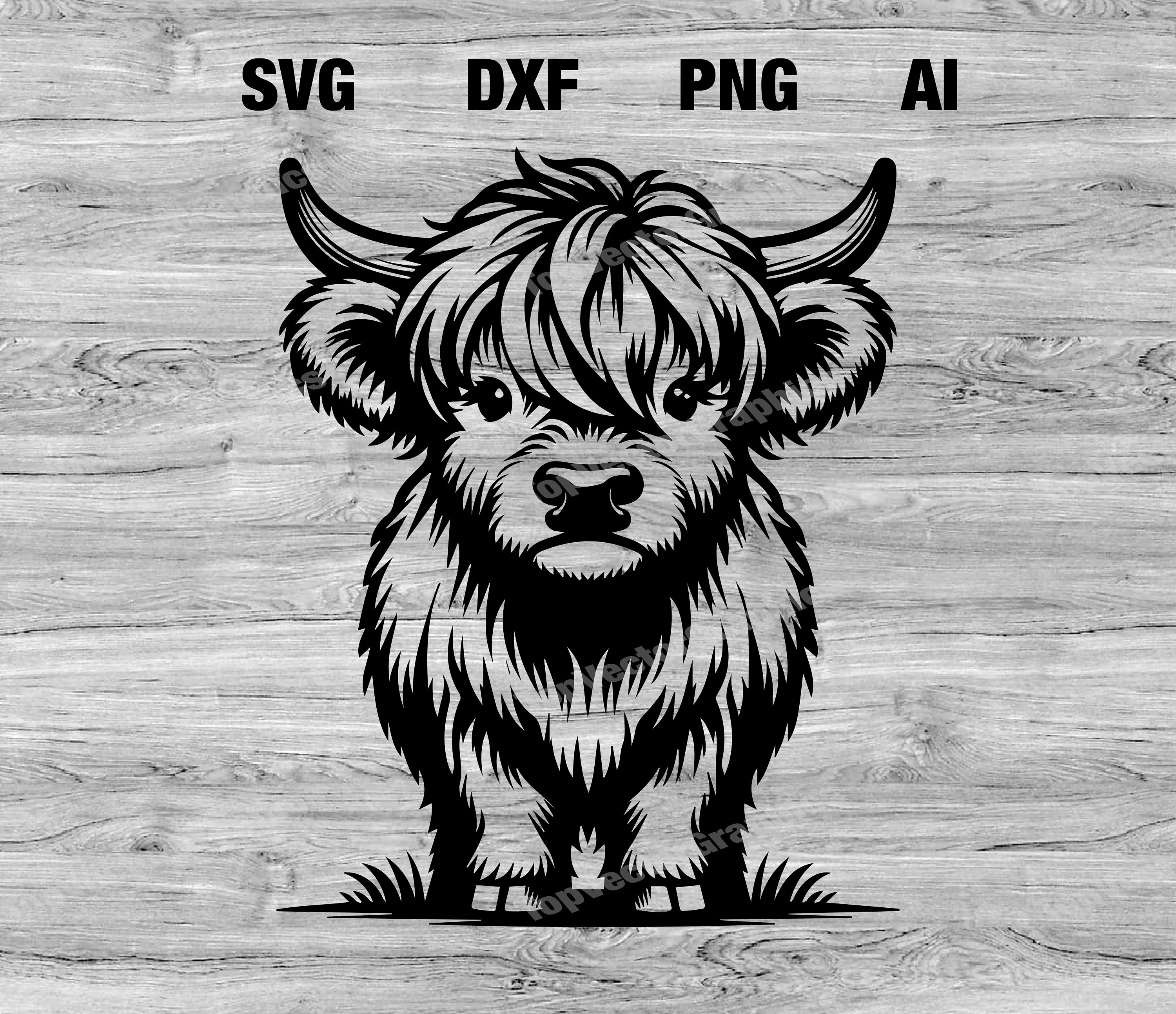 Cute Highlander Cow Vector Graphic for DIY Crafts and Projects ...