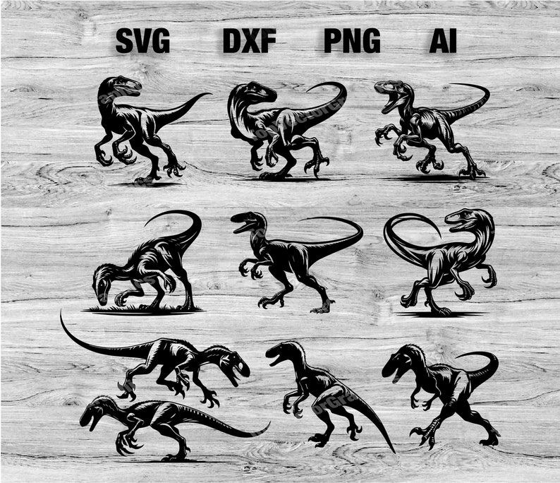 10 Raptor Cut Files | Raptor Dinosaur Vector Graphic Silhouette, Cameo ...