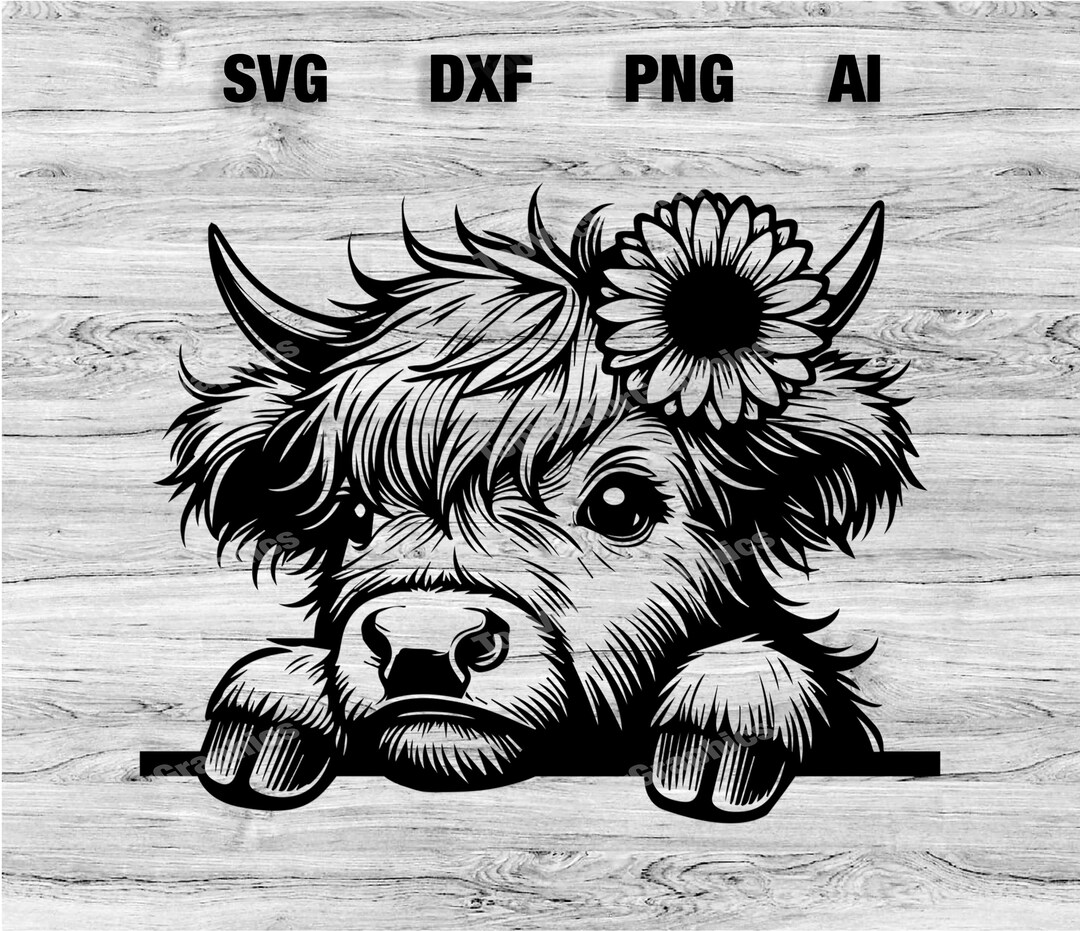 Peeking Highlander Cow Head | Highland Cow Vector Graphic Laser File ...