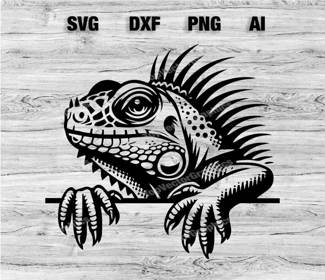 Peeking Iguana Head | Iguana Vector Graphic Laser File Silhouette Clip ...
