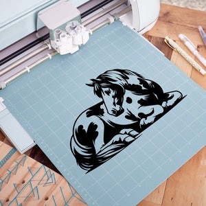 Pinto Horse Laying Cut Files | Pinto Thoroughbred Horse Gallop Vector ...