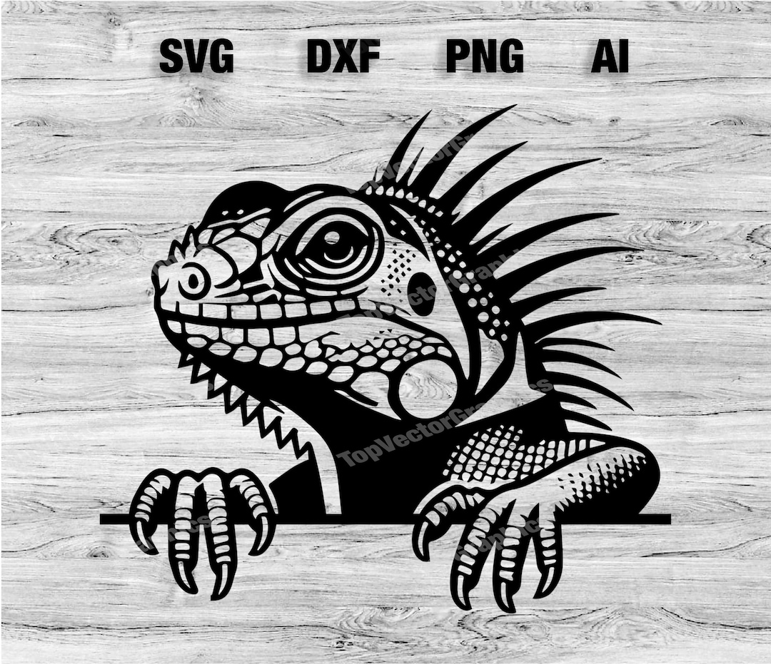 Peeking Iguana Head | Iguana Vector Graphic Laser File Silhouette Clip ...