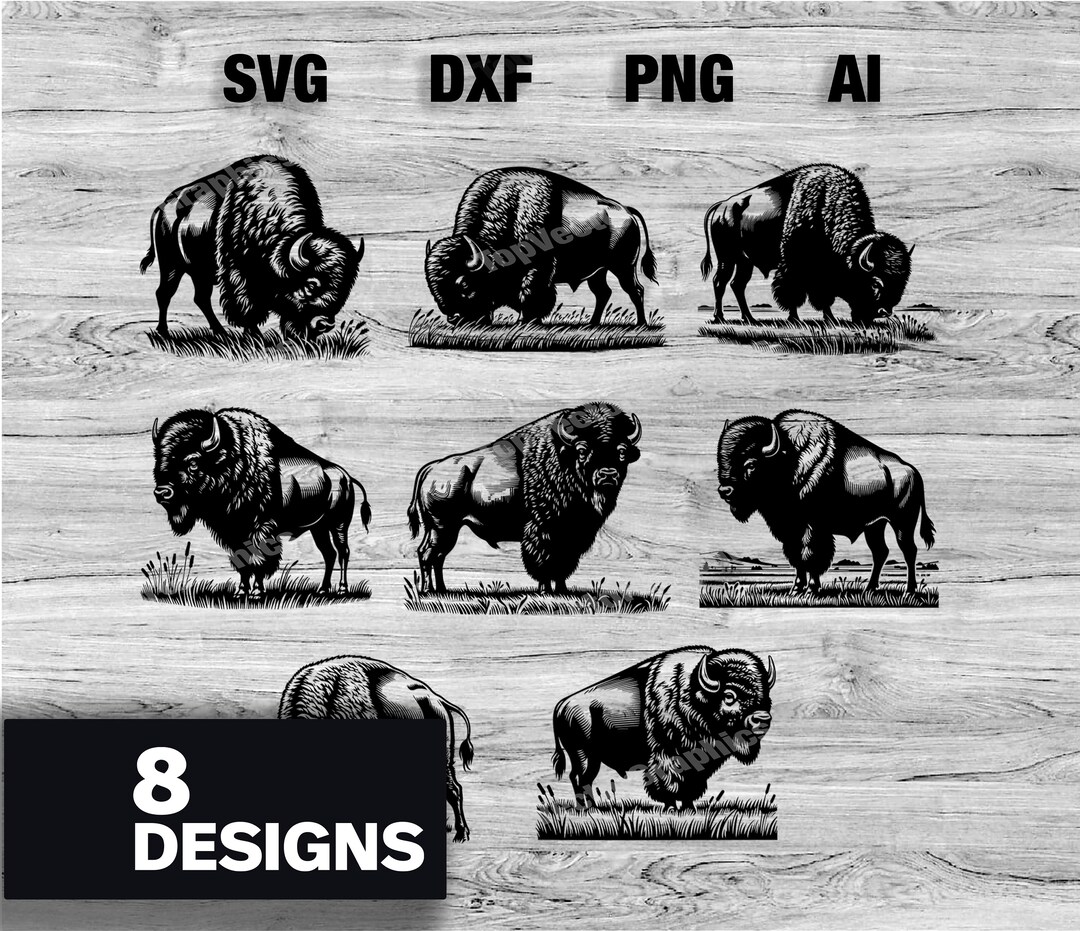 8 Bison Cut Files | Bison Vector Graphic Silhouette, Cameo, Cricut SVG ...