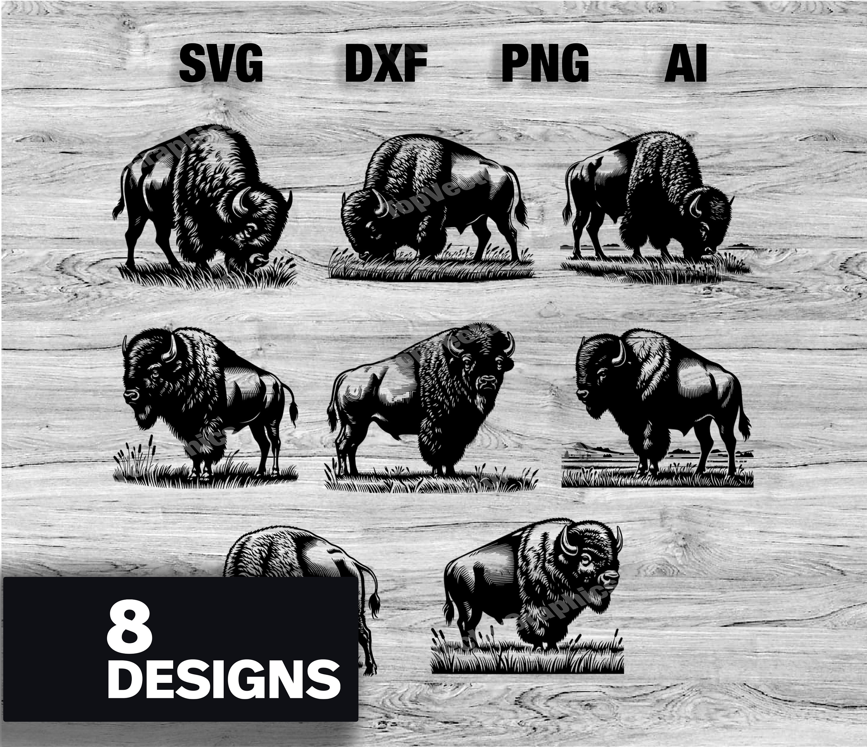 8 Bison Cut Files | Bison Vector Graphic Silhouette, Cameo, Cricut SVG ...