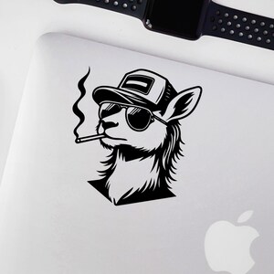 Kangaroo Mullet With Sunglasses Smoking SVG, PNG, Dxf, Ai File Cool ...