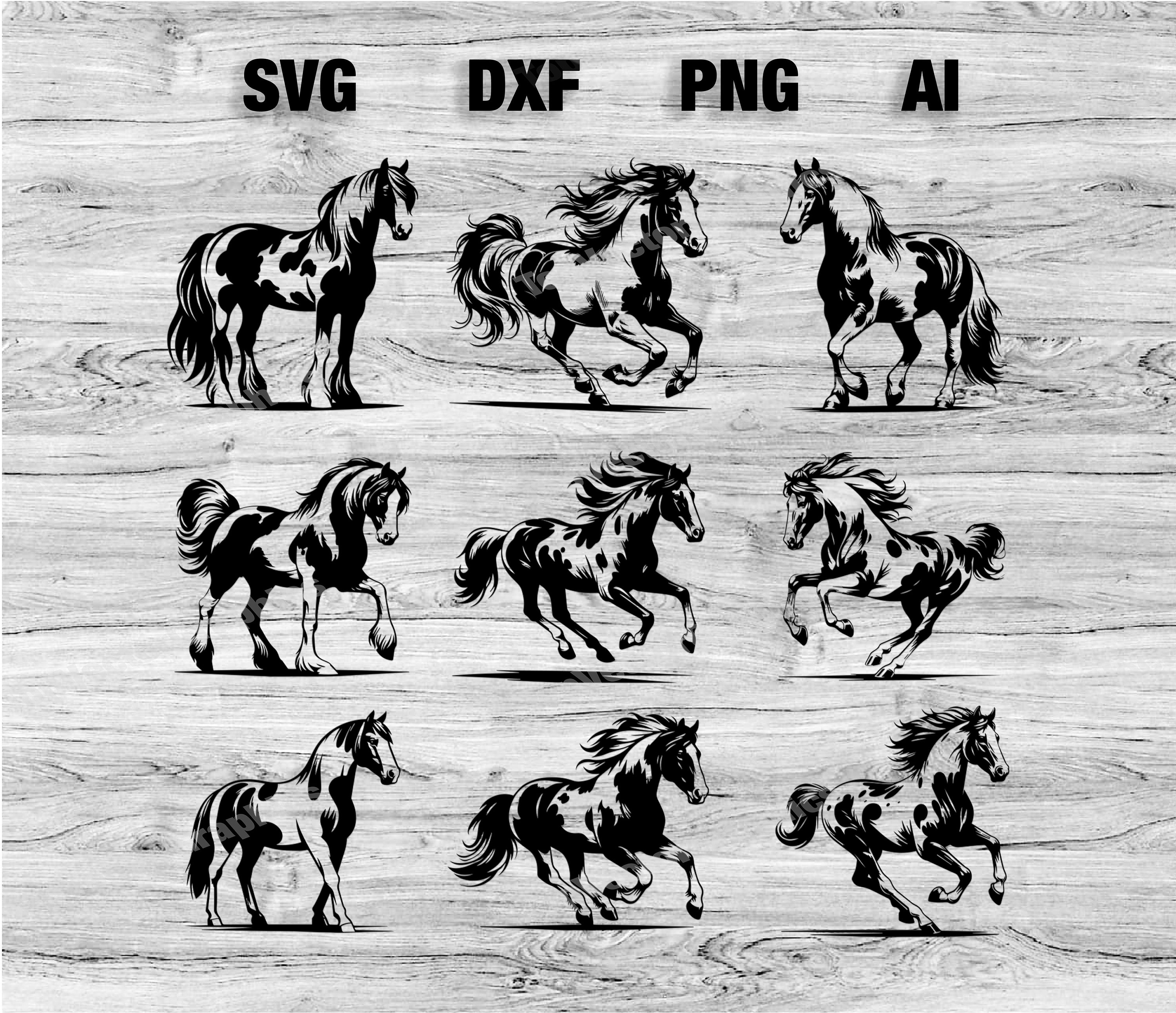 Pinto Horse Cut Files | Pinto Thoroughbred Horse Gallop Vector Graphic ...