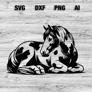 Pinto Horse Laying Cut Files | Pinto Thoroughbred Horse Gallop Vector ...