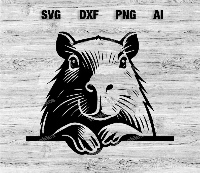 Peeking Capybara Head | Capybara Vector Graphic Laser File Silhouette ...