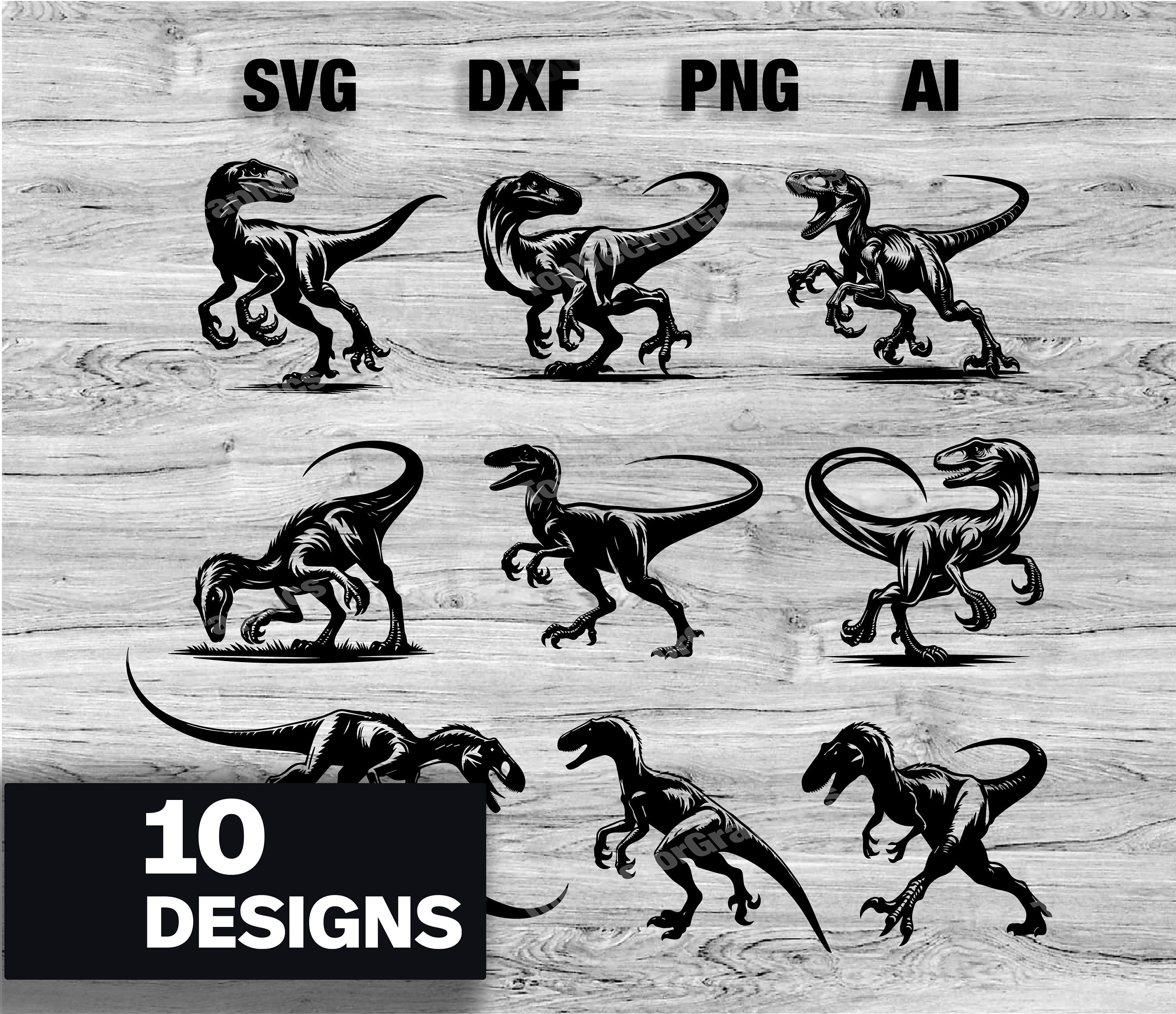 10 Raptor Cut Files | Raptor Dinosaur Vector Graphic Silhouette, Cameo ...
