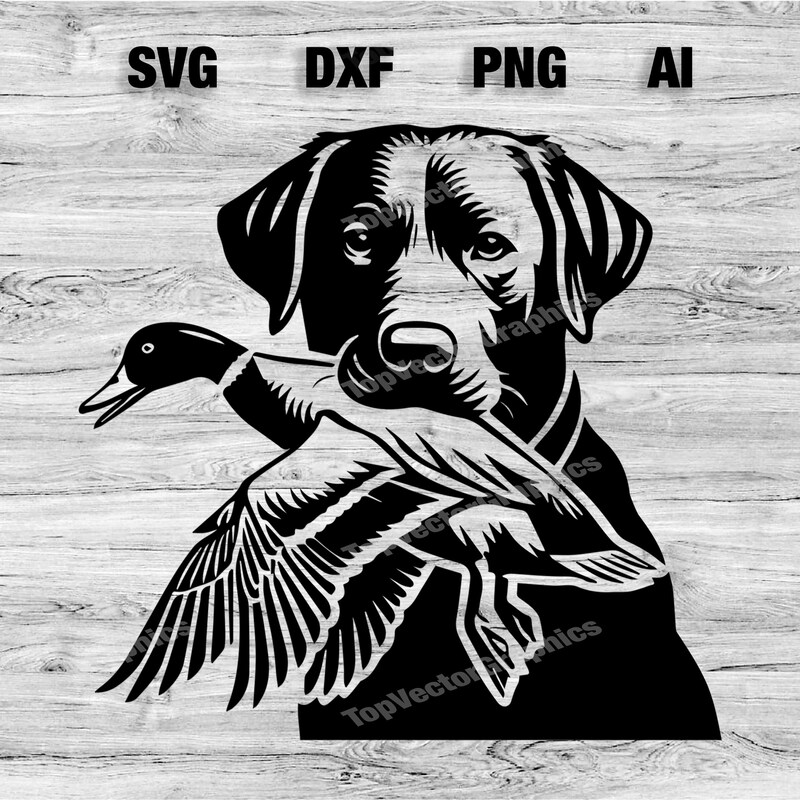Lab Dog Svg - Etsy