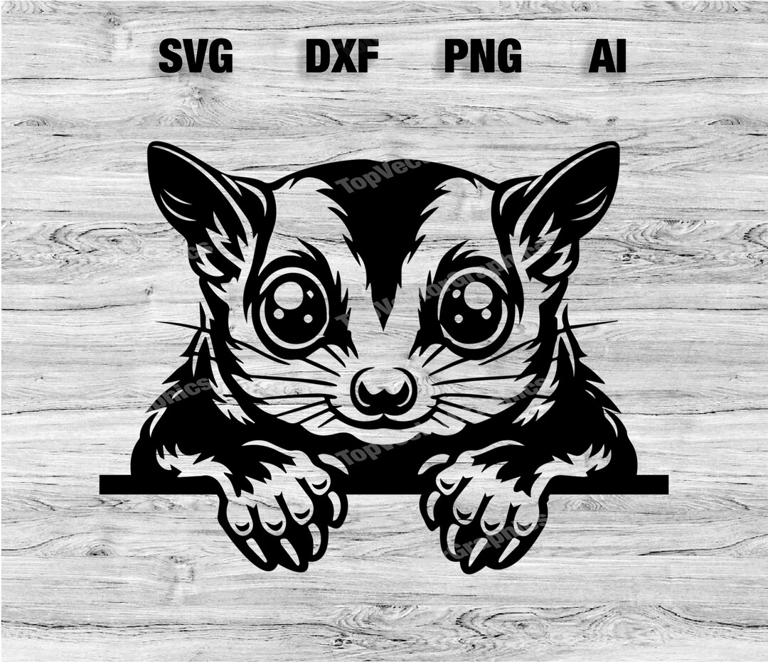 Peeking Sugar Glider Head | Exotic Animal Vector Graphic Laser File ...