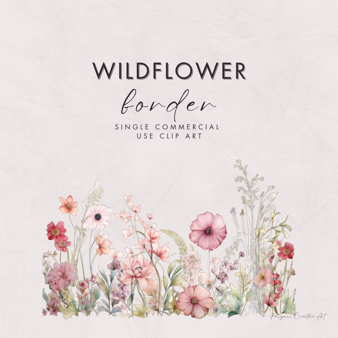 Floral Border Clip Art, SINGLE IMAGE, Commercial Use, Transparent Pngs ...