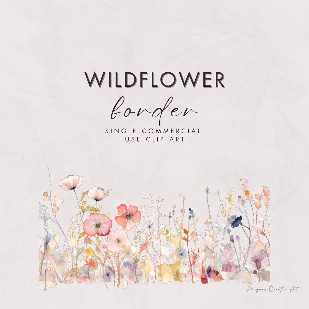 Wildflower Clipart Border, SINGLE IMAGE, Commercial Use, Transparent ...