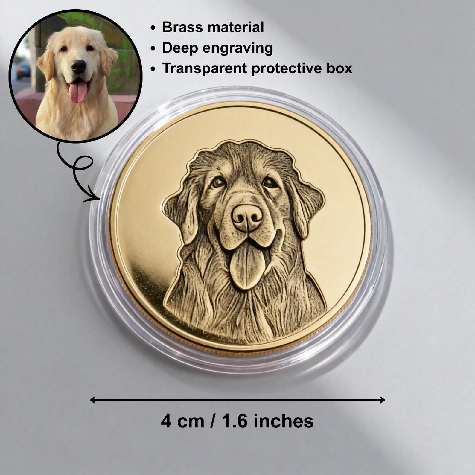 Custom Pet Brass Challenge Coin From Photo, Pet Memorial Brass Coin ...