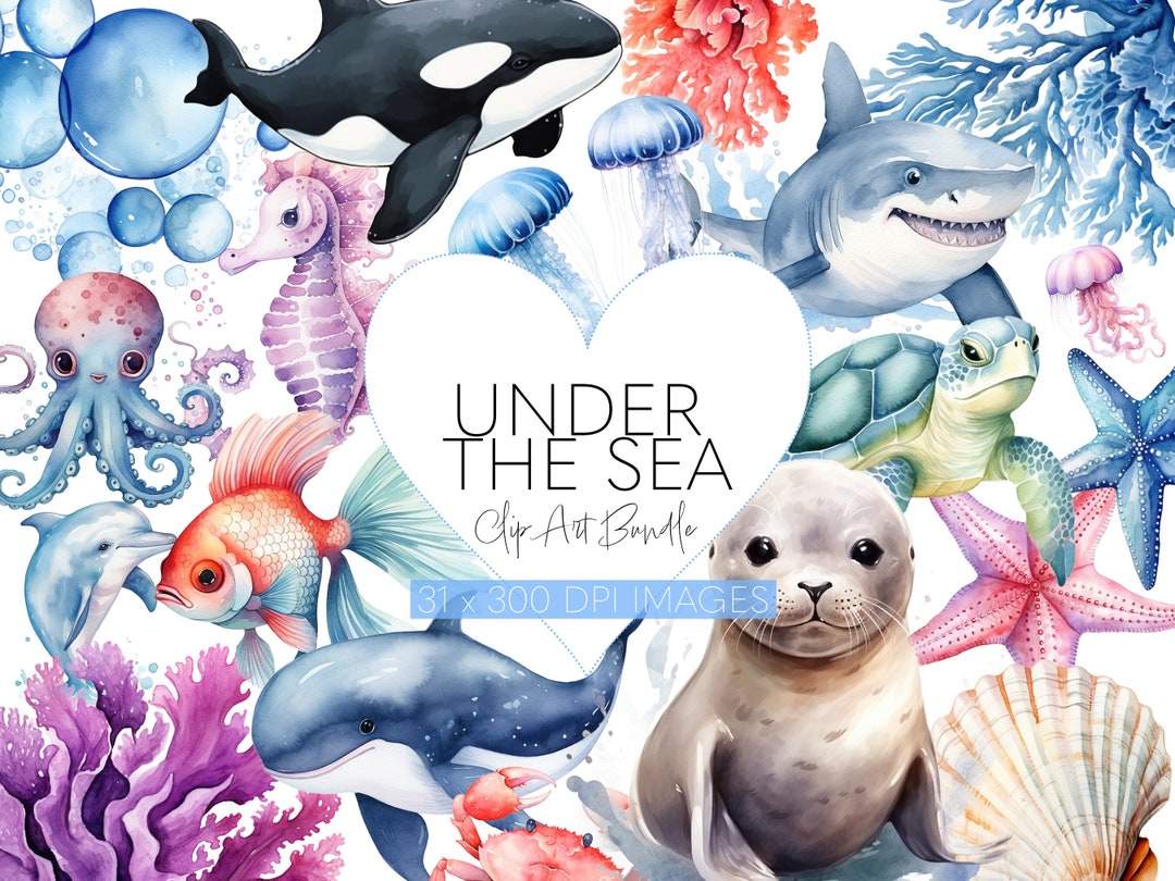 Under the Sea Clip Art and Image Files Sealife Png Clip Art - Etsy