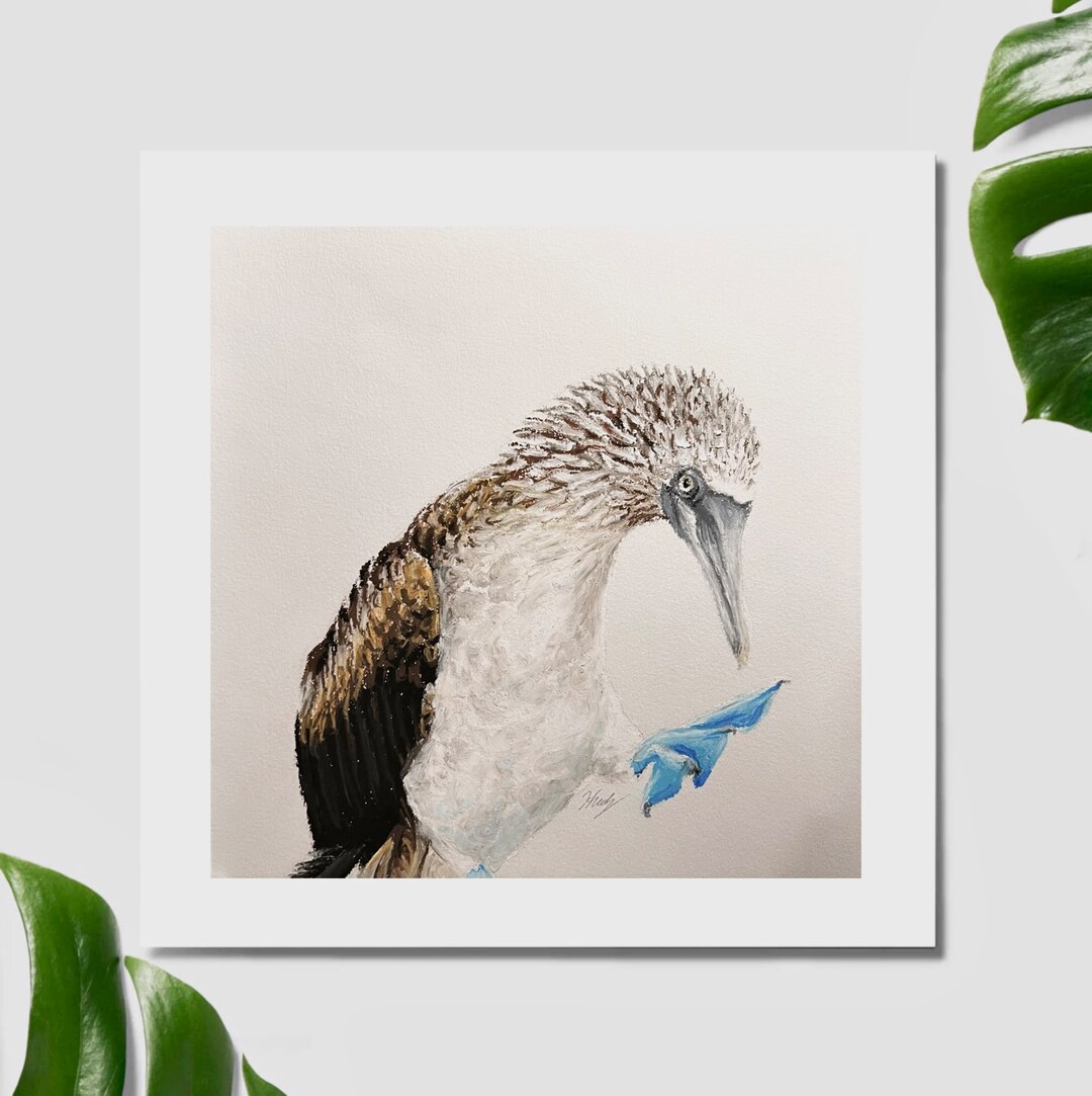Blue-footed Booby Original Art Print on Archival Matte Paper, Coastal ...