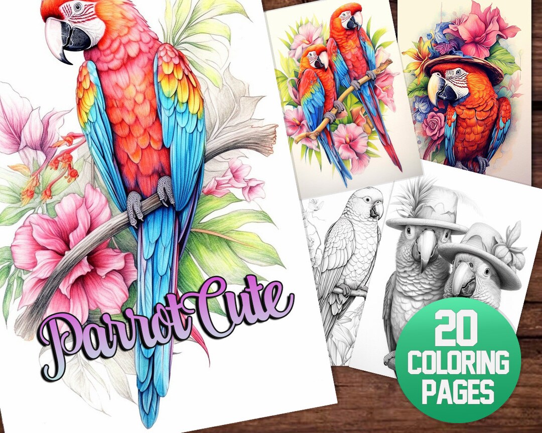 Parrot Cute 20 Coloring Pages, Instant Download, Grayscale Coloring ...