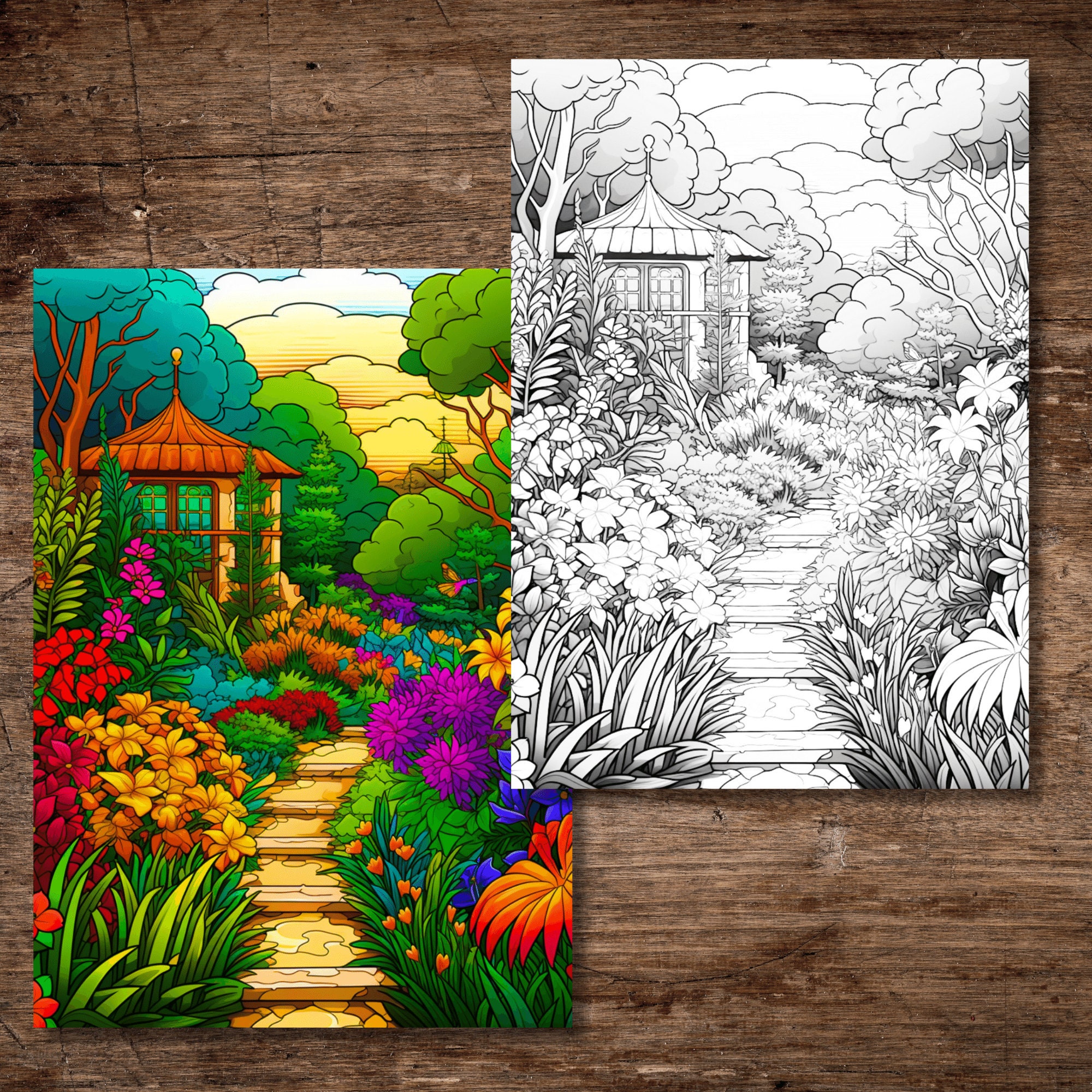 Botanical Coloring Pages, Adult Coloring Book, Floral & Flower Art ...