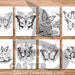 60 Butterflies Coloring Book Butterfly Coloring Page Adult Coloring ...
