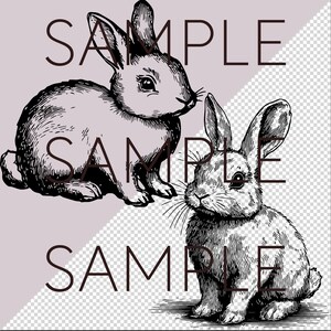 Vintage Rabbit SVG Teacup Bunny Plotter File Svg Maid Outfit Bunnies ...