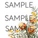 Australian Native Floral Border Australian Flowers Banksia Borders ...