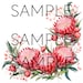 Australian Native Floral Border Australian Flowers Waratah Borders ...