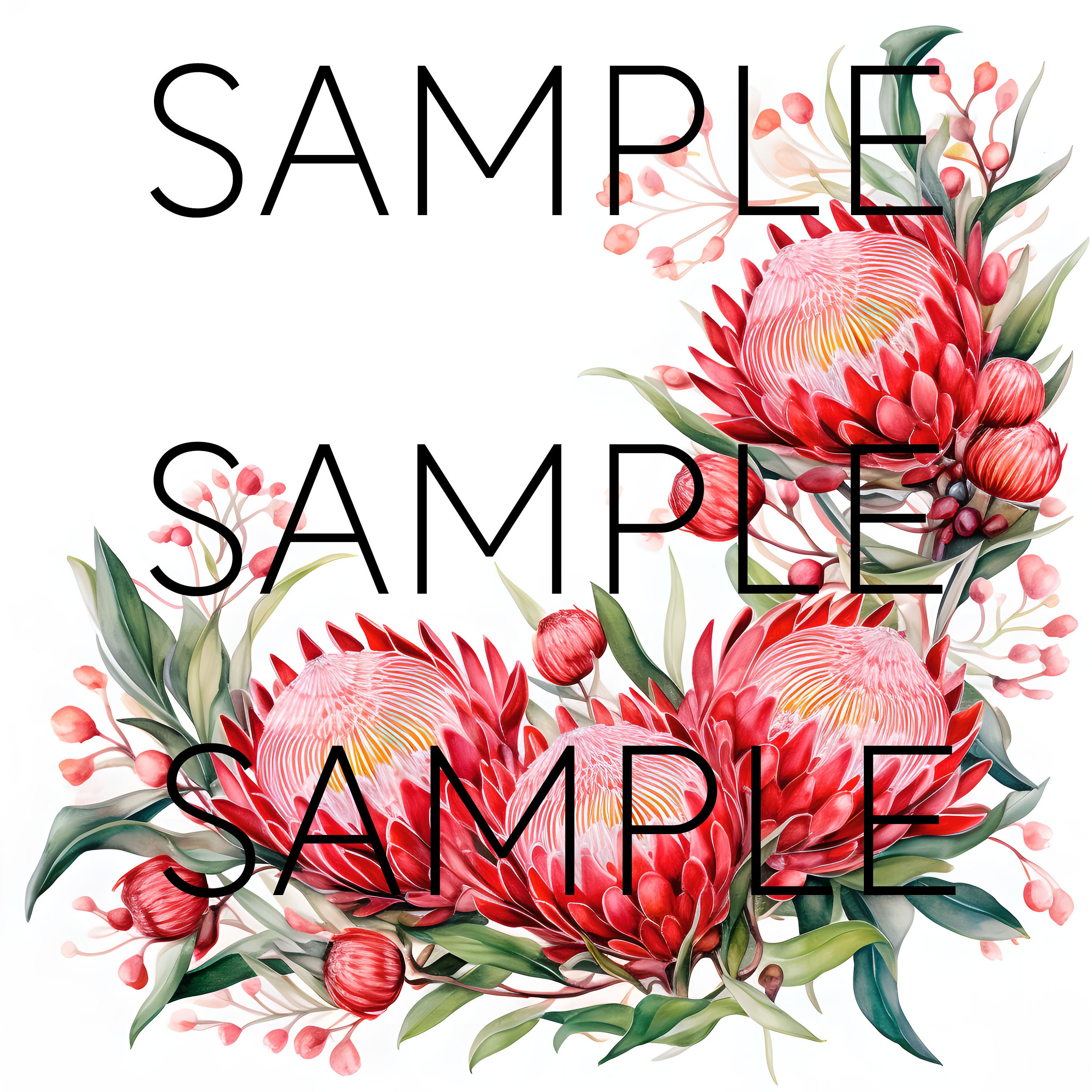 Australian Native Floral Border Australian Flowers Waratah - Etsy Australia