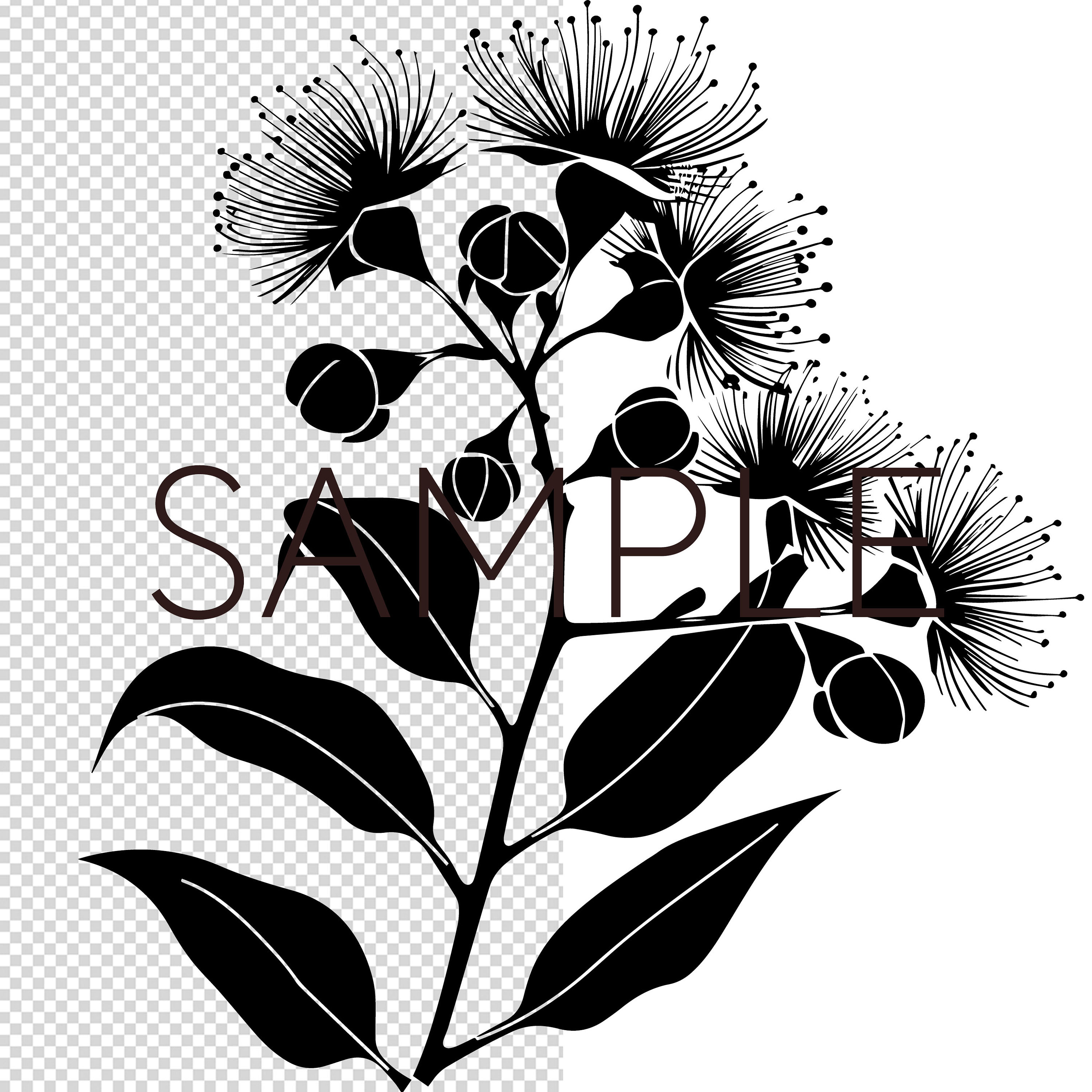Australian Native Flowers Eucalyptus Flower SVG Aussie Botanicals ...