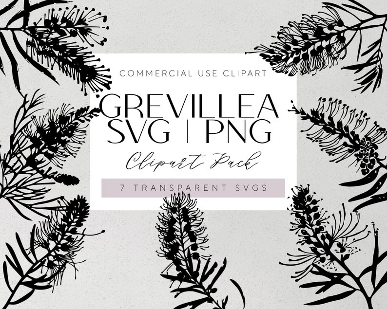 Australian Native Flowers Grevillea SVG Aussie Botanicals Plotter File ...