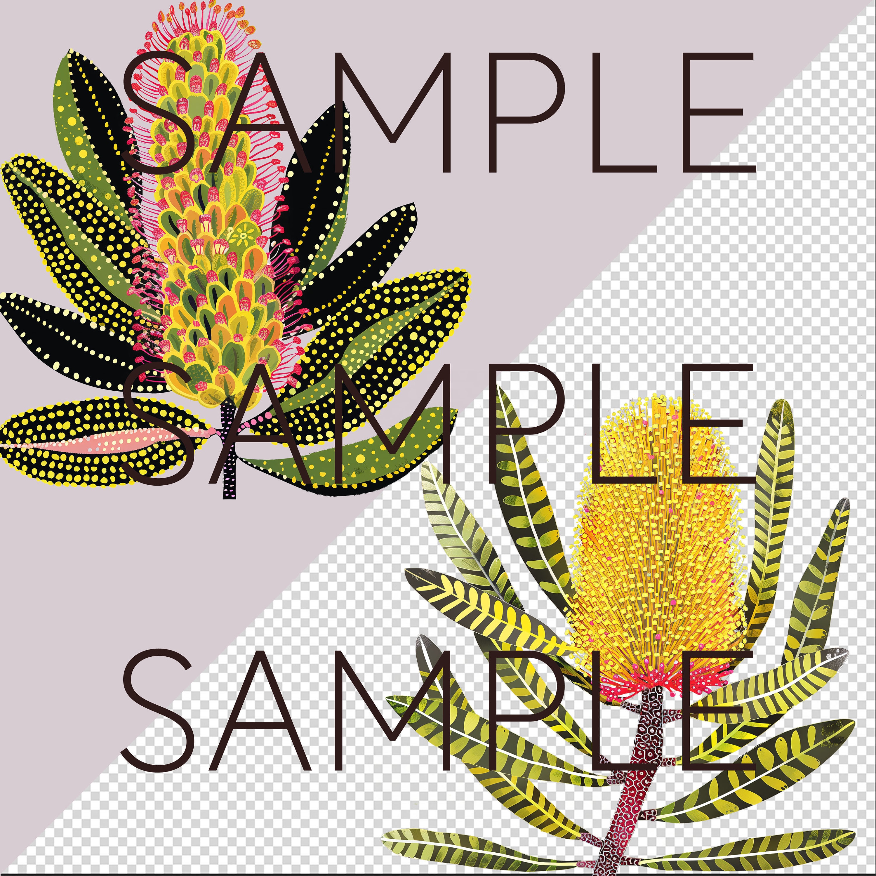 Aboriginal Australian Native Flowers Clipart Flowers Transparent Pngs ...