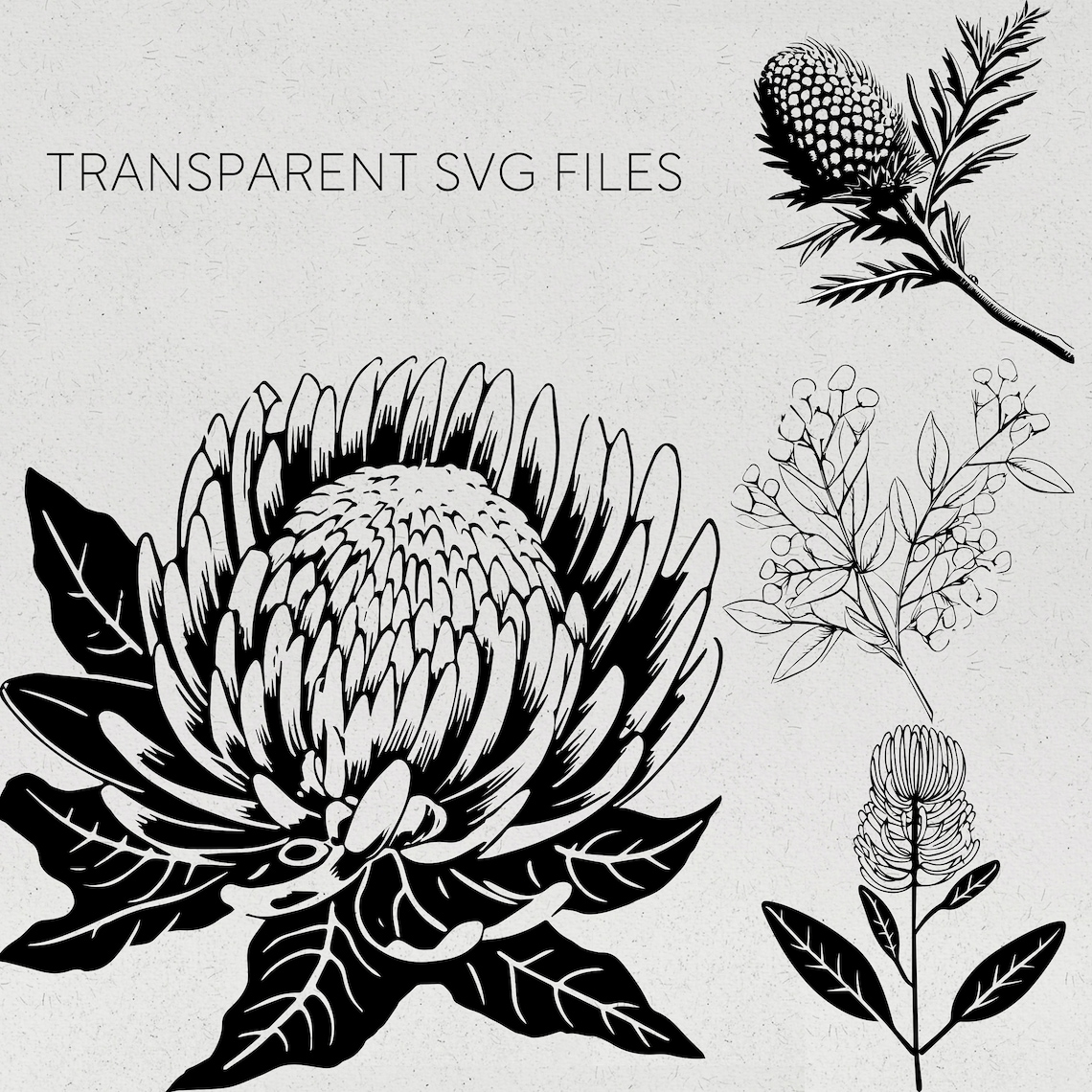 Australian Native Flowers SVG Aussie Botanicals Plotter File Svg ...