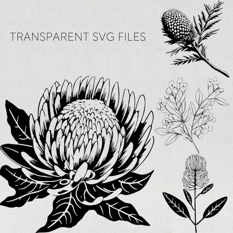 Australian Native Flowers SVG Aussie Botanicals Plotter File Svg ...