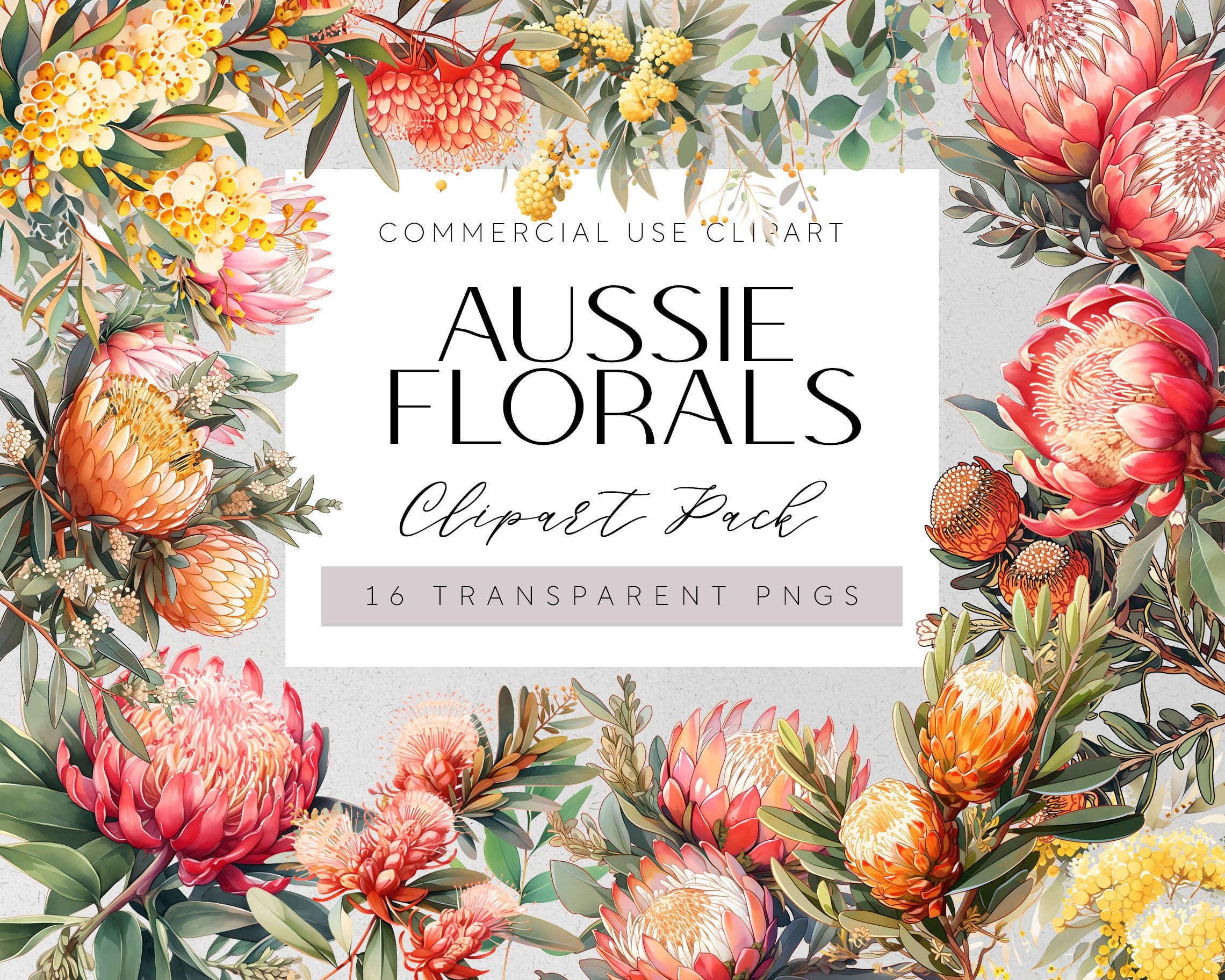 Australian Native Flowers Clipart Flowers Transparent Pngs Aussie Flora ...