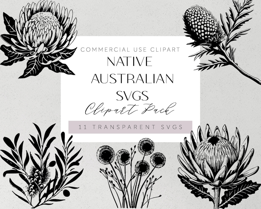 Australian Native Flowers SVG Aussie Botanicals Plotter File Svg ...