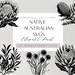 Australian Native Flowers SVG Aussie Botanicals Coloured Plotter File ...