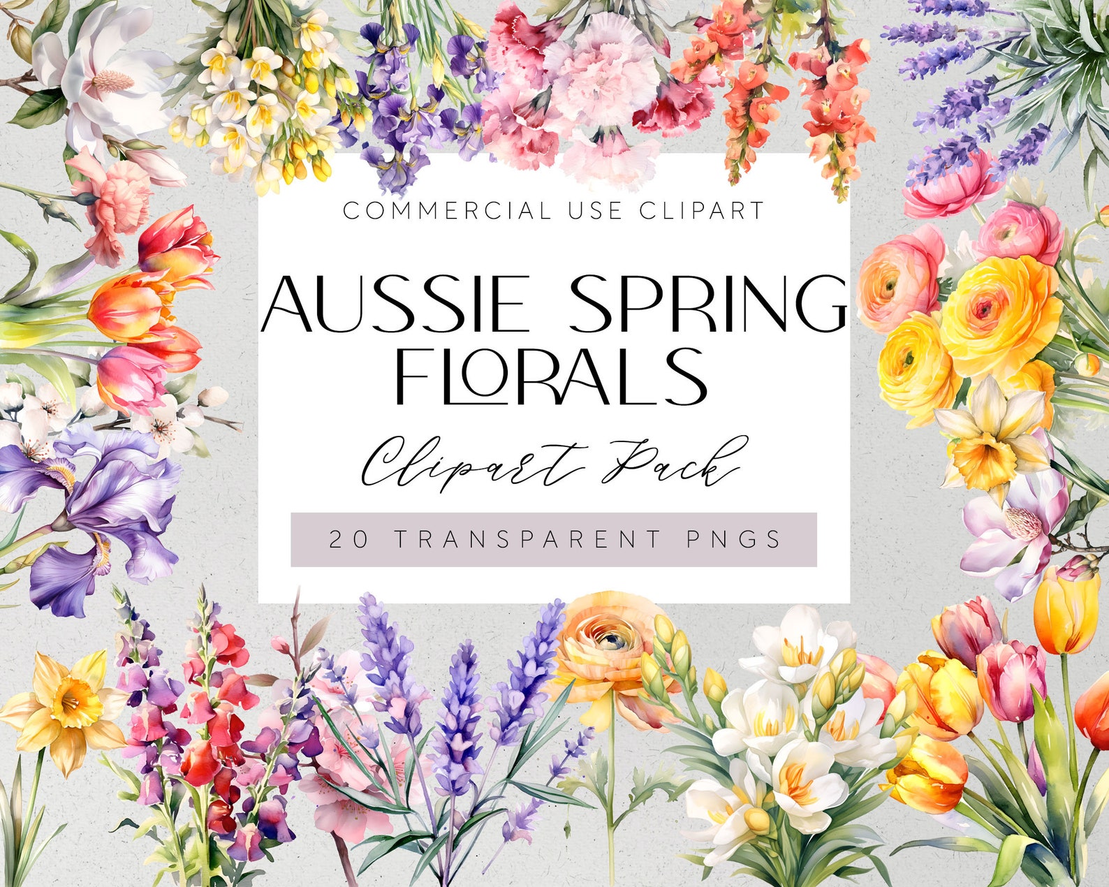 Australian Spring Flowers Watercolour Clipart Flowers - Etsy