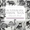 Australian Native Bird SVG Aussie Native Birds PNG Australian Birds ...