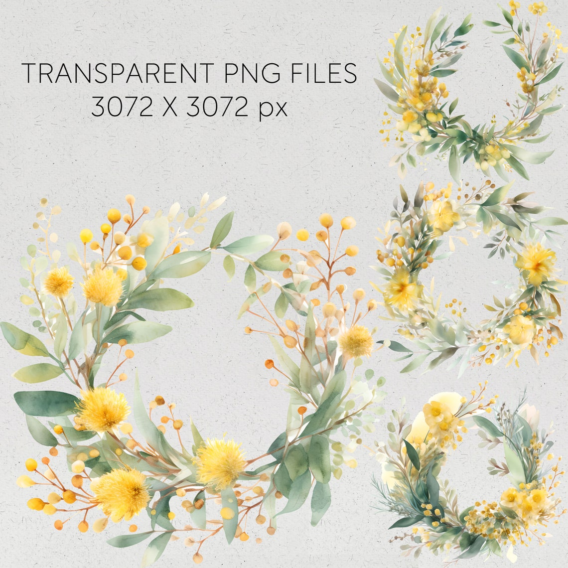 Australian Native Flower Wreath Clipart Wattle Wreath Flowers ...