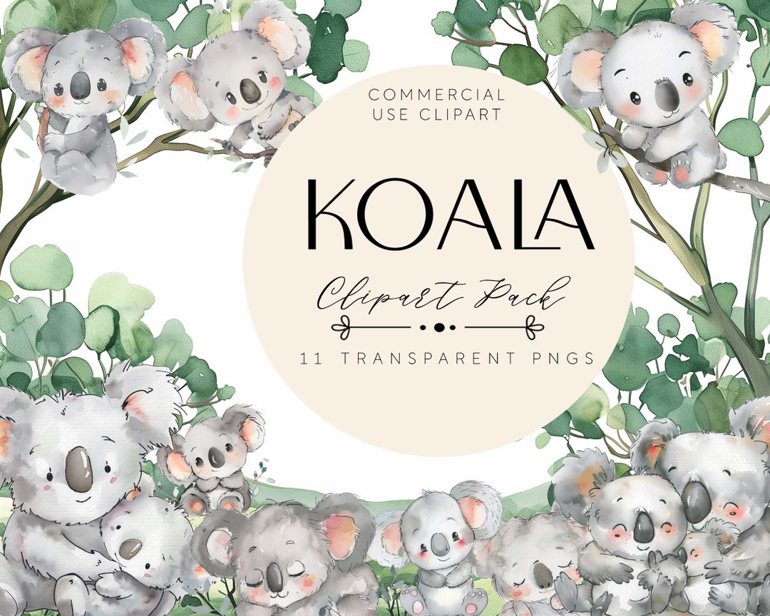 Koala Australian Native Animals Clipart Aussie Koala Illustrations ...