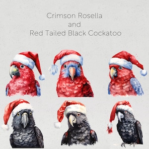 Christmas Australian Native Birds Clipart Xmass Aussie Native Birds ...